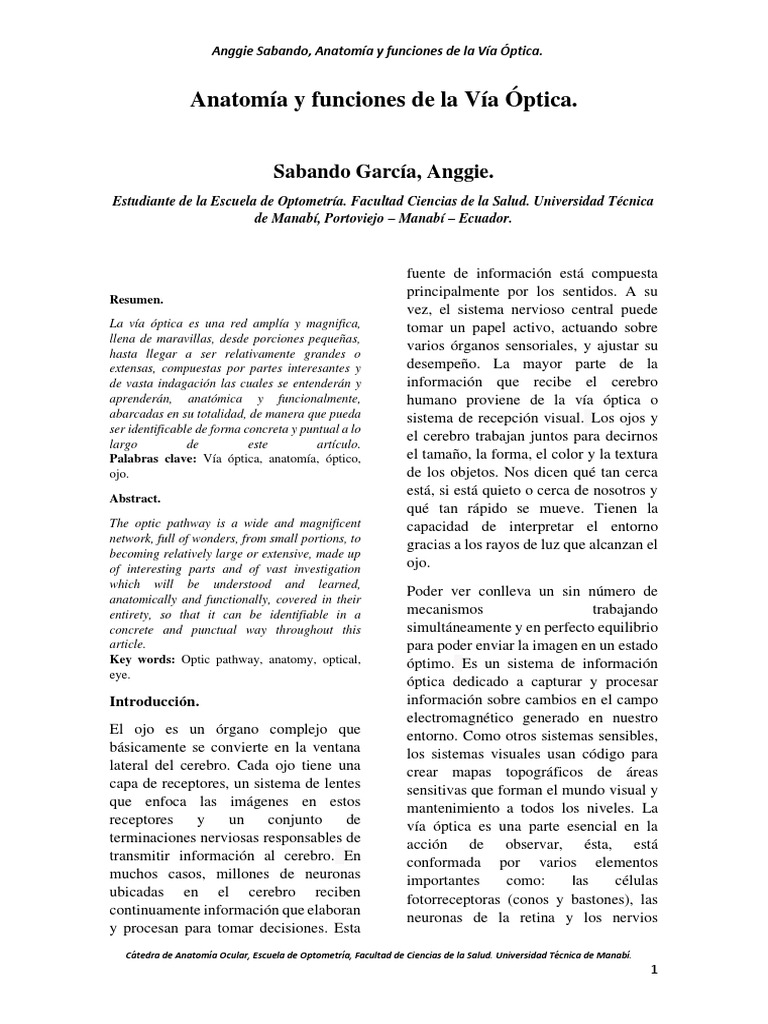 Anatomía y Funciones de La Vía Óptica | PDF | Percepción visual ...