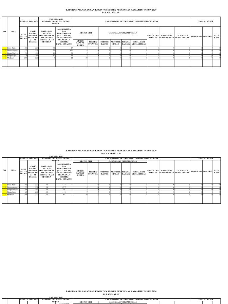 Laporan Sdidtk | PDF