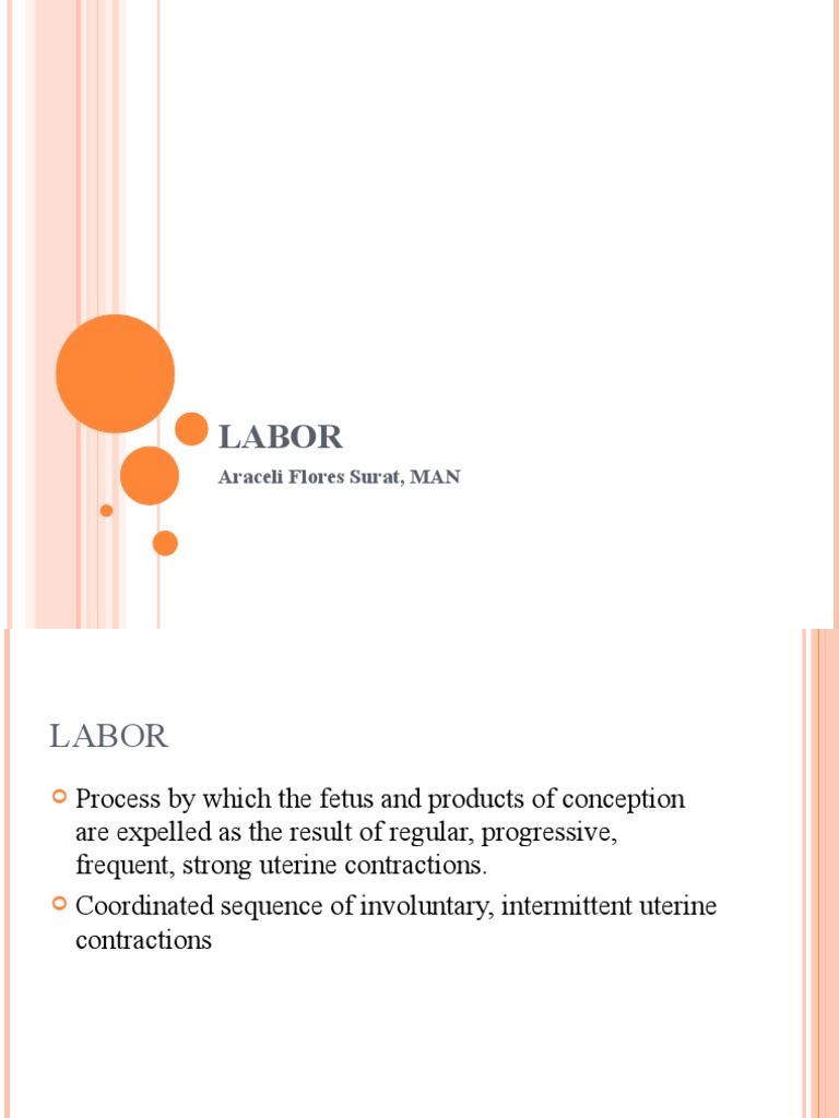 The Four P's of Labor: An In-Depth Examination of the Components and ...