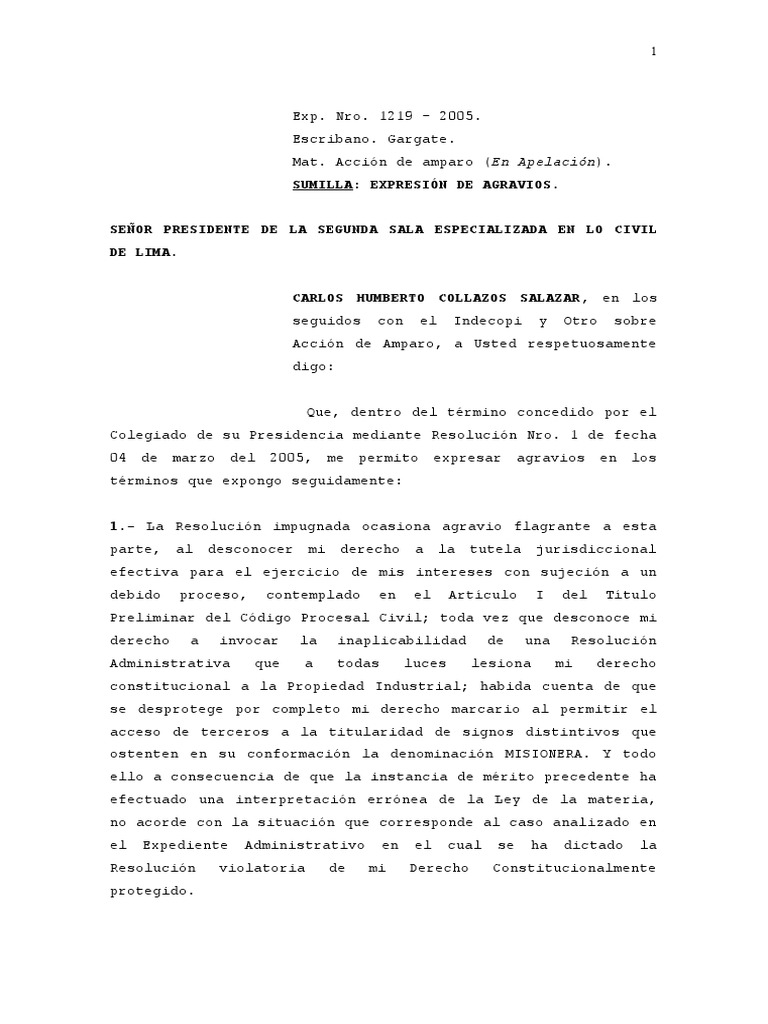 Expresion de Agravios | PDF | Sentencia (ley) | Caso de ley