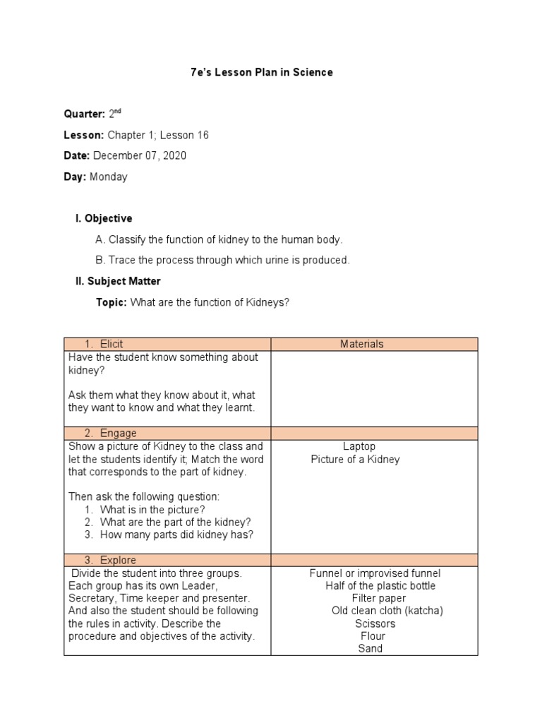 7e's Lesson Plan | PDF | Kidney