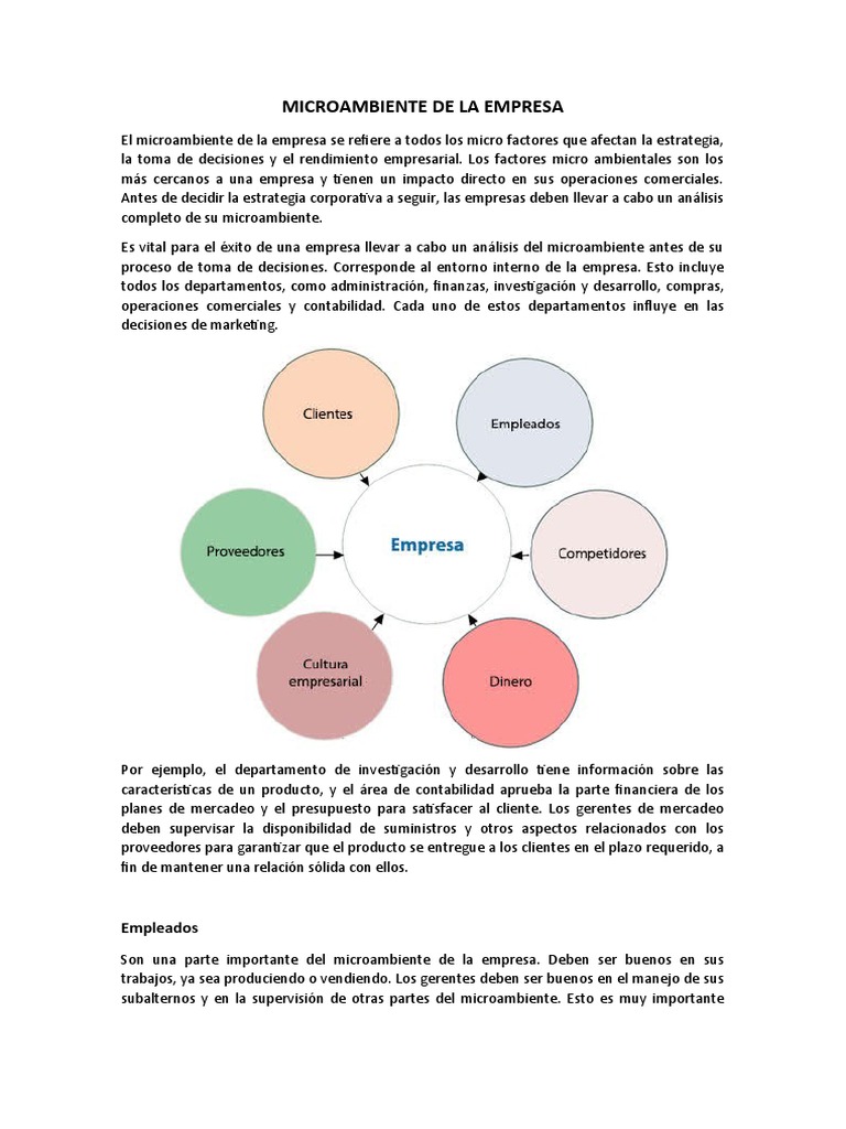 Microambiente de La Empresa 02 | PDF | Empresas | Marketing