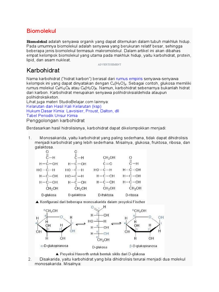 Biomolekul | PDF