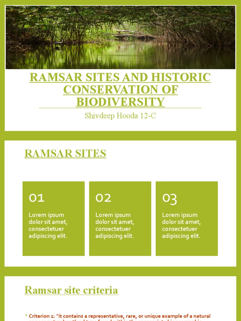 Ramsar Sites and Historic Conservation of Biodiversity | PDF | Wetland ...