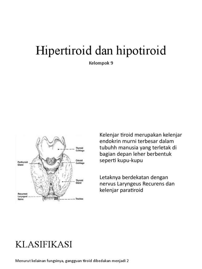 Pengertian, Klasifikasi, Patofisiologi, Signifikansi Hipertiroid Dan ...