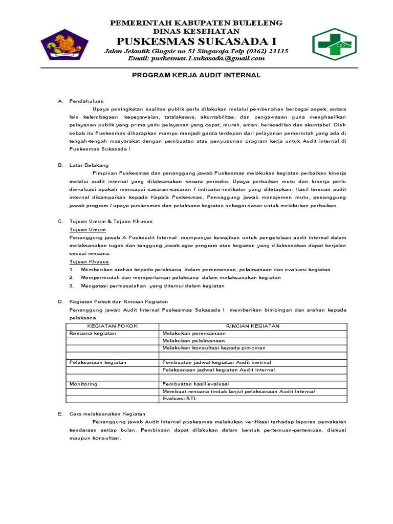 Program Kerja Audit Internal Pusk 5 | PDF