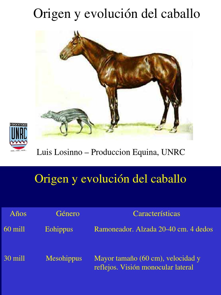 02-Origen y Evolucion Caballo | PDF | Équidos | Equus