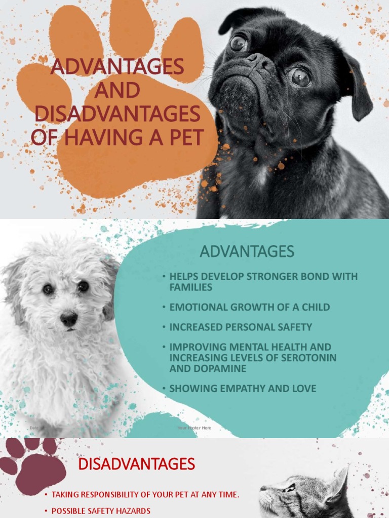 Advantages AND Disadvantages of Having A Pet | PDF