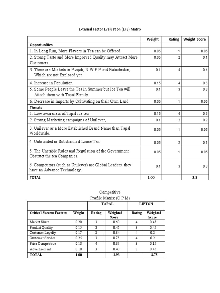 External Factor Evaluation | PDF | Unilever | Brand