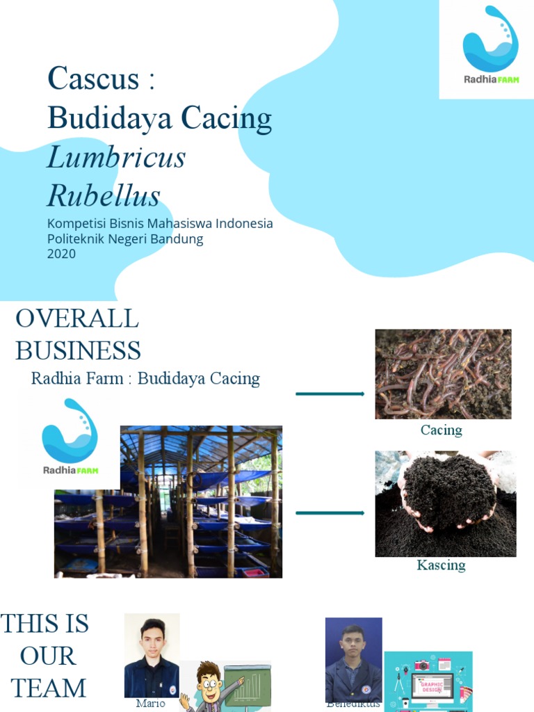 Pitch Deck Cascus Budidaya Cacing Lumbricus Rubellus | PDF