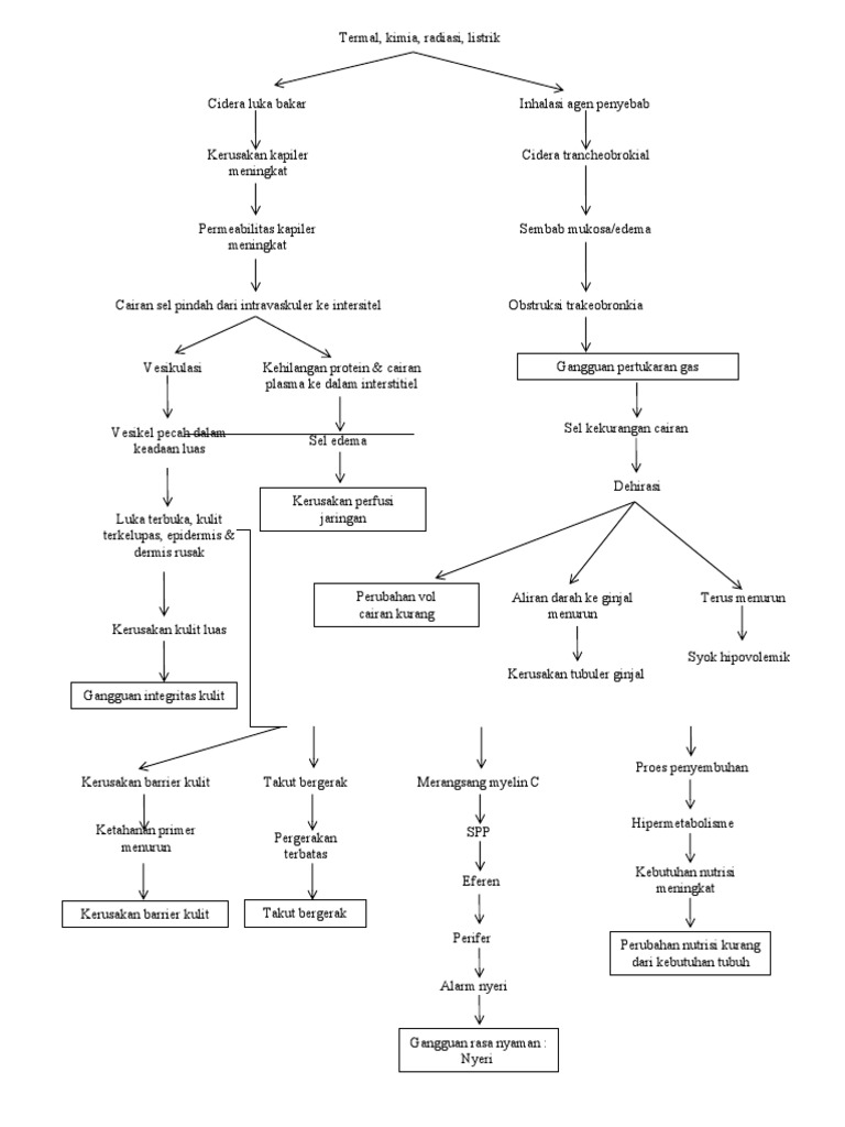 WOC Pathway Combustio Luka Bakar | PDF
