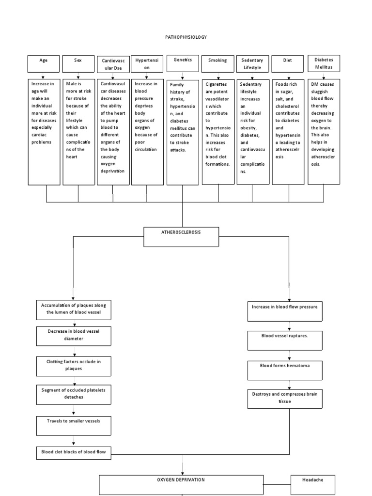 Pathophysiology - Tia VS Cva | PDF | Stroke | Ischemia
