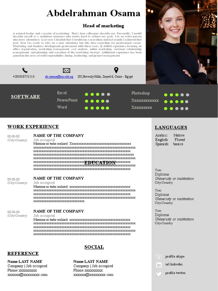 80 Resume Template Pattern | PDF | Marketing | Business Economics