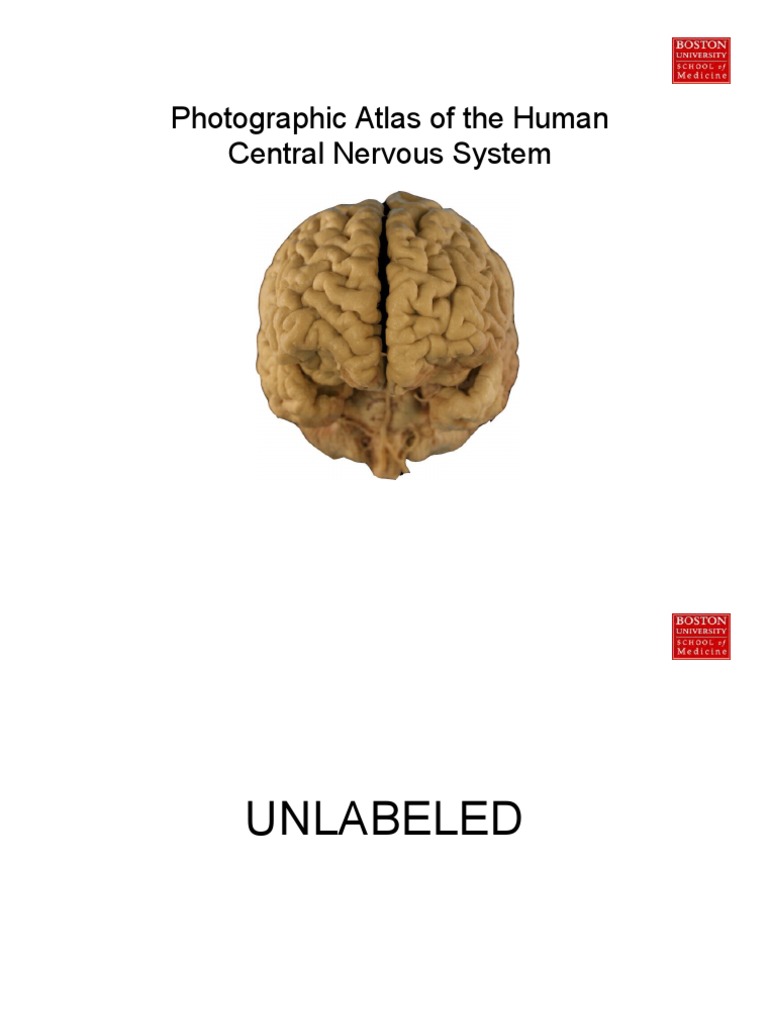FFFF | PDF