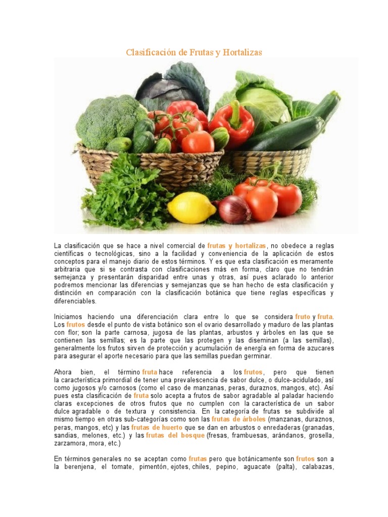 Clasificación de Frutas y Hortalizas | PDF | Vegetales | Fruta