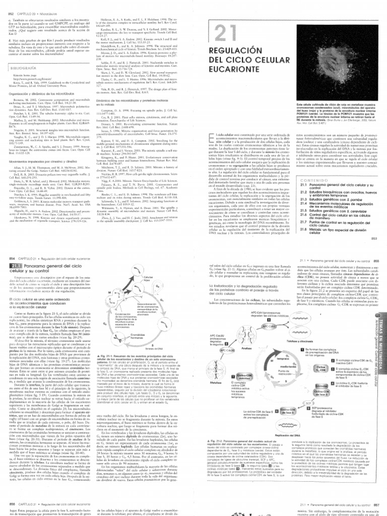 Lodish - Cap. 21 - Ciclo Celular | PDF