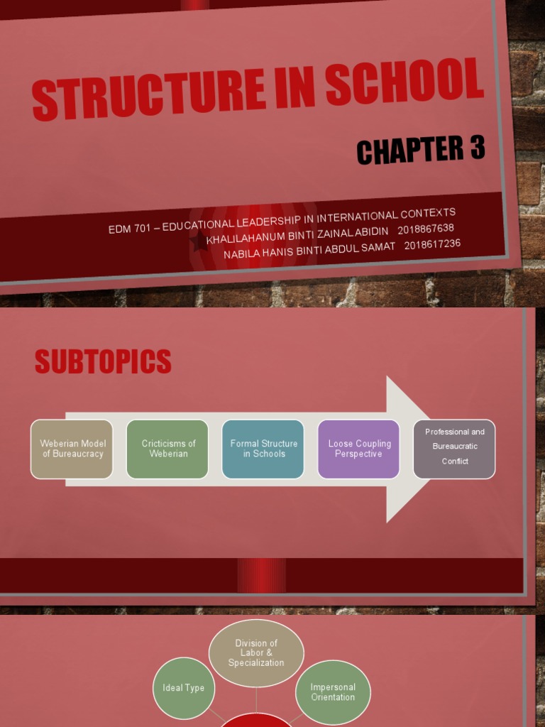 Structure in School | PDF | Bureaucracy | Max Weber