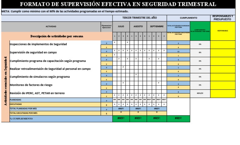 Formato de Supervisión Efectiva en Seguridad | PDF | Business