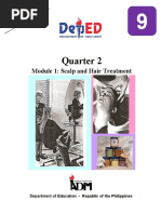 Learning Module in Hairdressing | PDF | Hairstyle | Sterilization ...