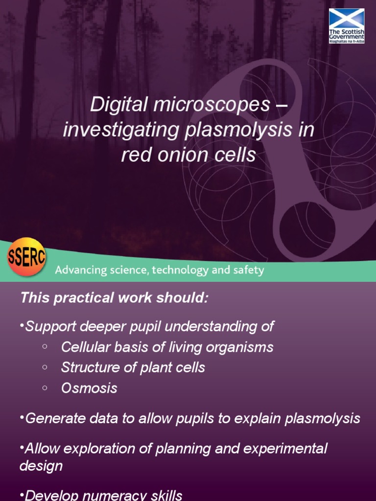 Digital Microscopes - Investigating Plasmolysis in Red Onion Cells | PDF
