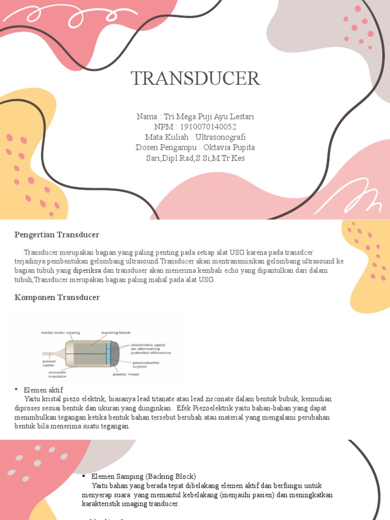 Transducer Tri Mega Puji Ayu Lestari (19-052) | PDF
