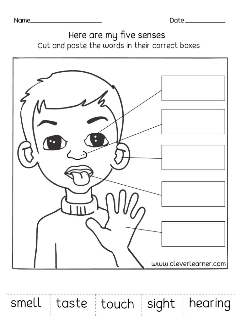 The Five Senses Kindergarten Printables 9 | PDF