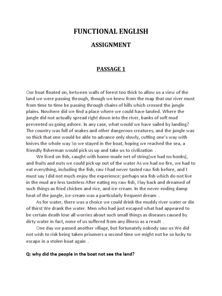 Functional English: Assignment | PDF
