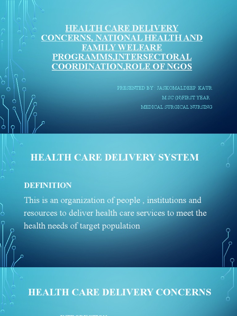 Health Care Delivery System Overview | PDF | Non Governmental ...
