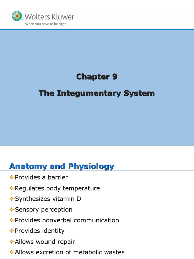 Ch09 | PDF | Skin Cancer | Melanoma