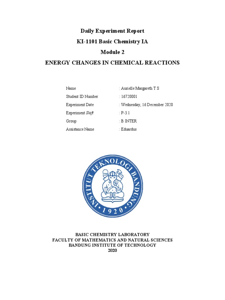Full Report Format For International Class MFR Martha | PDF | Sodium ...