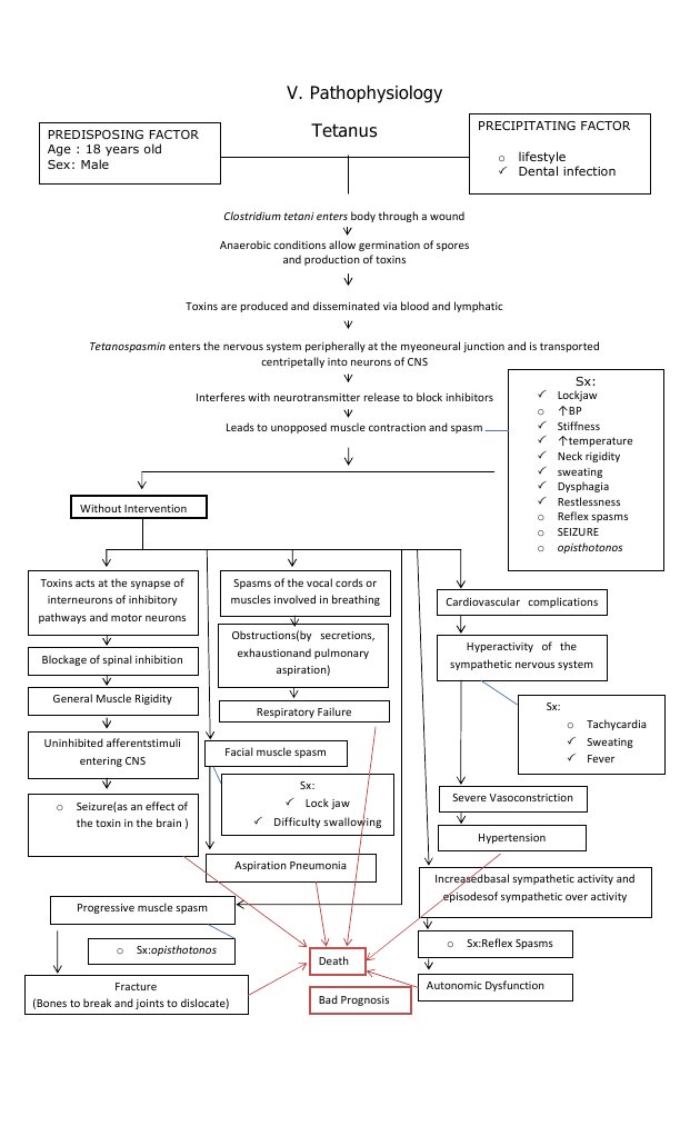 Managing Tetanus: A Guide to Diagnosis, Treatment, Intervention and ...