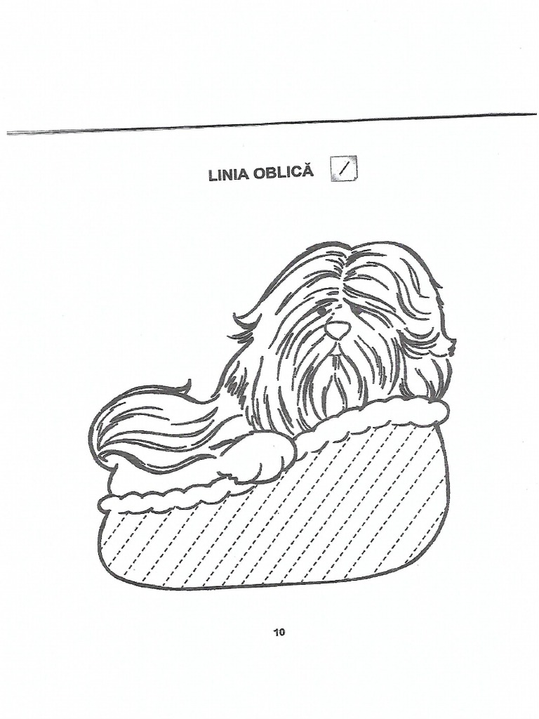 Linia Oblica PDF | PDF