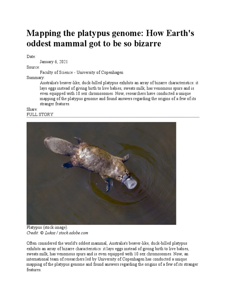 Mapping The Platypus Genome | PDF | Mammals | Sex