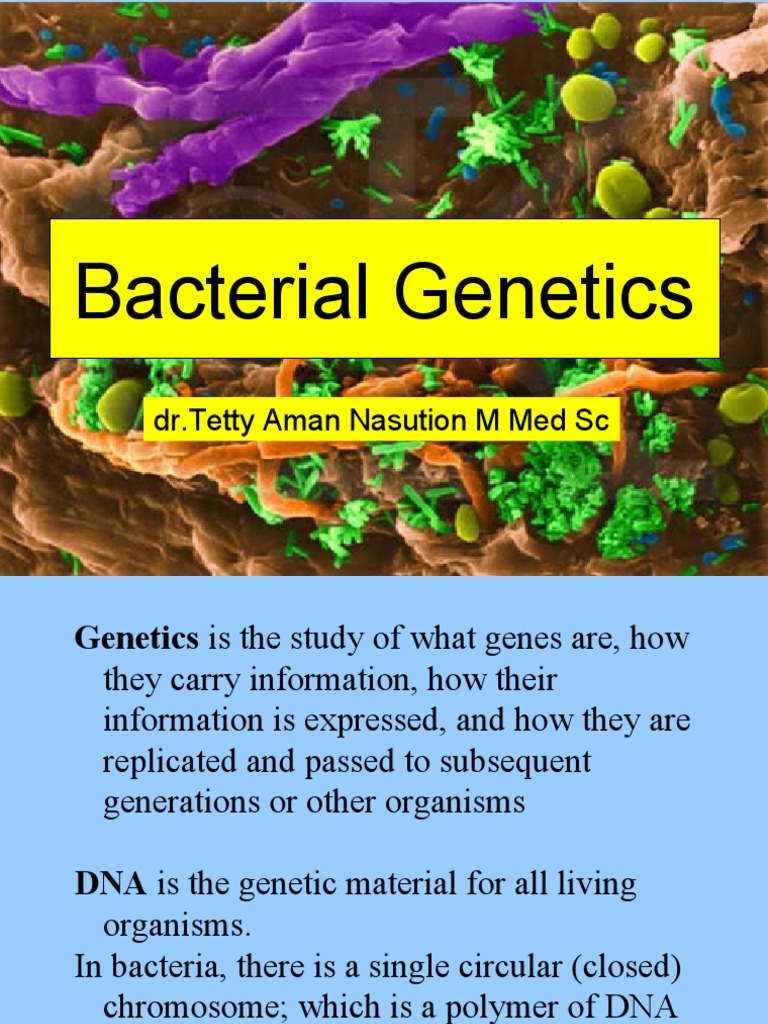 Bacterial Genetics: DR - Tetty Aman Nasution M Med SC | PDF | Genetic ...
