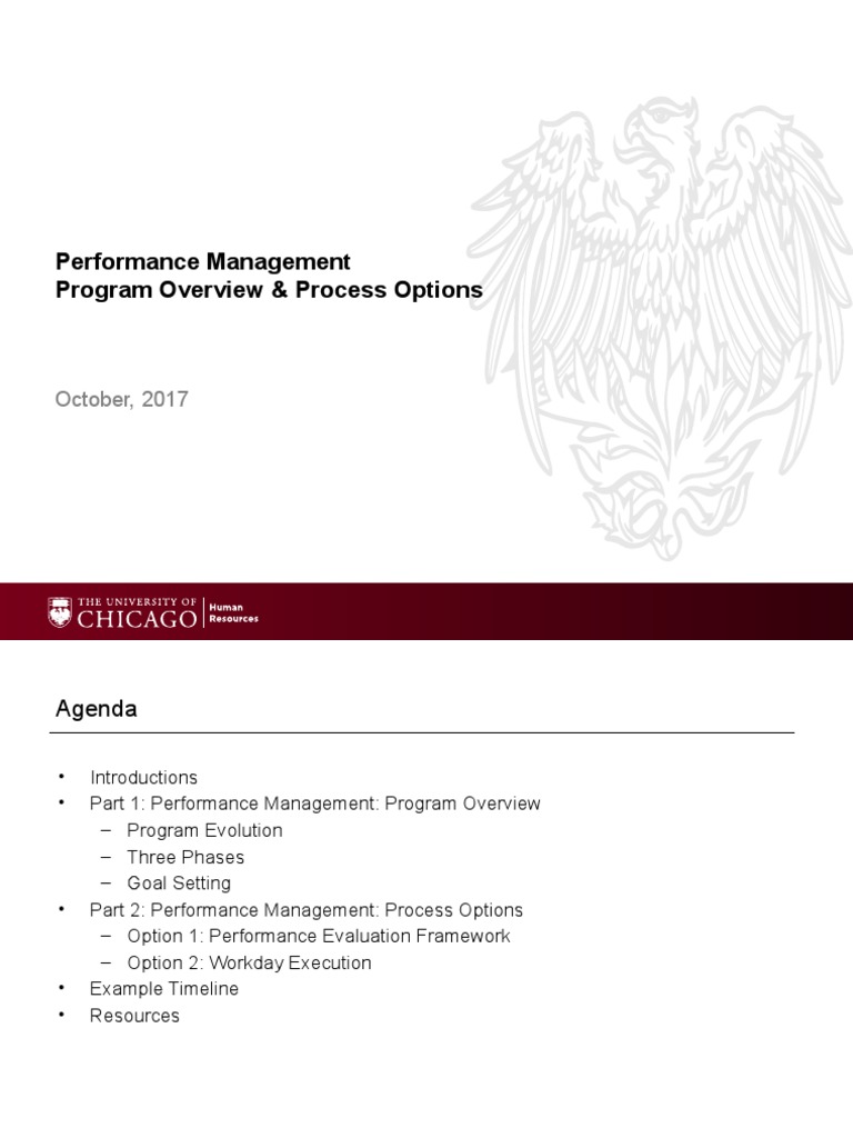 Performance Management Program Overview and Process Options | PDF ...