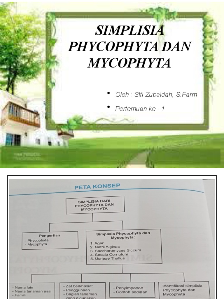 Simplisia Phycophyta Dan Mycophyta | PDF | Sains & Matematika