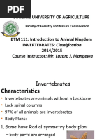 Invertebrate Classification Overview | PDF | Invertebrate | Biology
