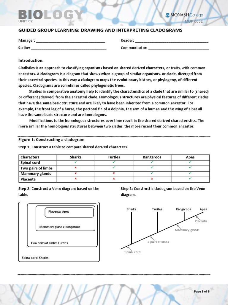 Guided Group Learning: Drawing and Interpreting Cladograms: Unit 02 ...