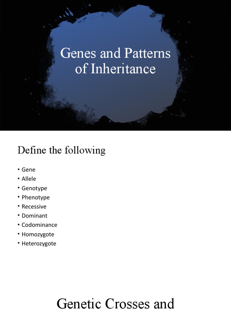 Genes and Patterns of Inheritance | PDF | Allele | Mucus