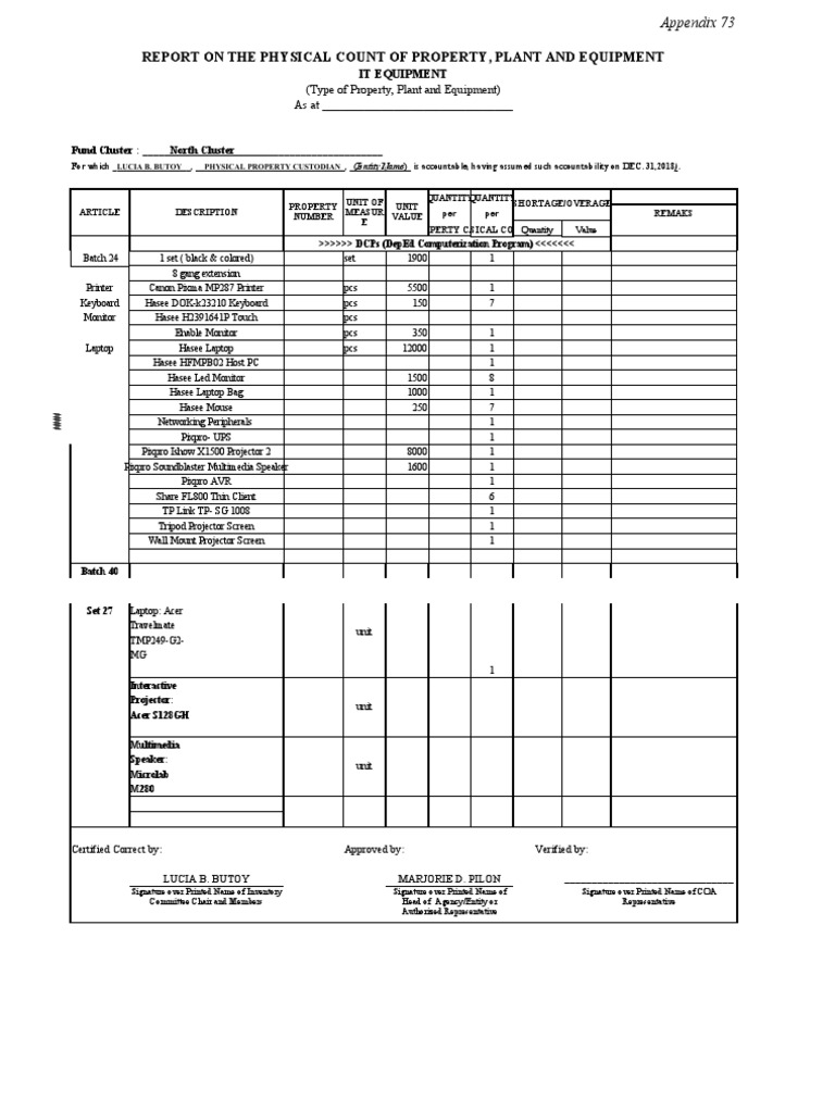 Report On The Physical Count of Property, Plant and Equipment | PDF ...