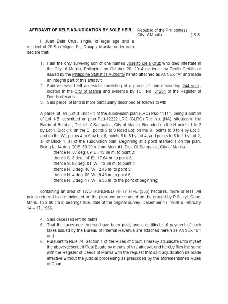 Form No. 7 AFFIDAVIT OF SELF-ADJUDICATION BY SOLE HEIR | PDF | Public Law | Civil Law (Common Law)