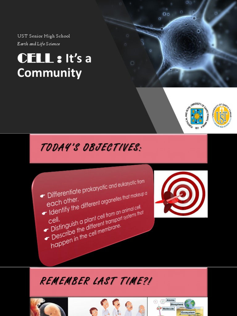 CELL: It's A: Community | PDF | Endoplasmic Reticulum | Cell (Biology)