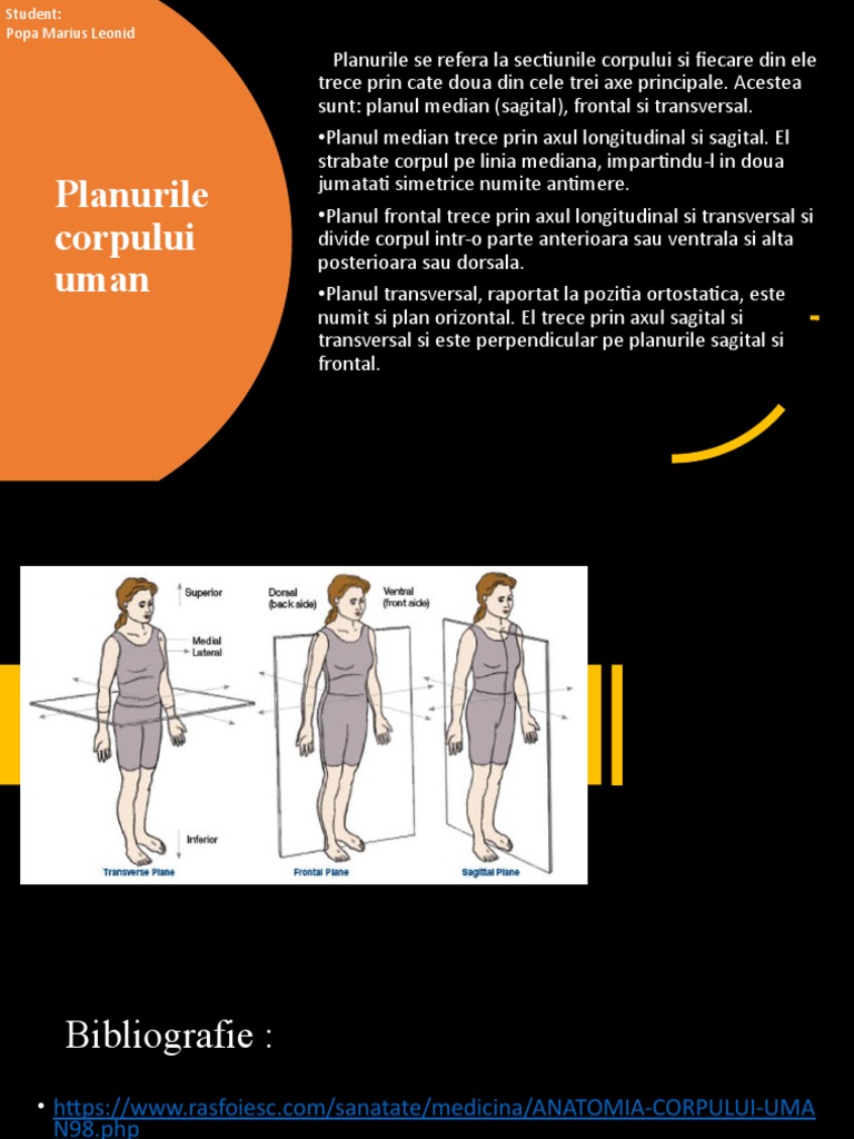 Planurile Corpului Uman | PDF