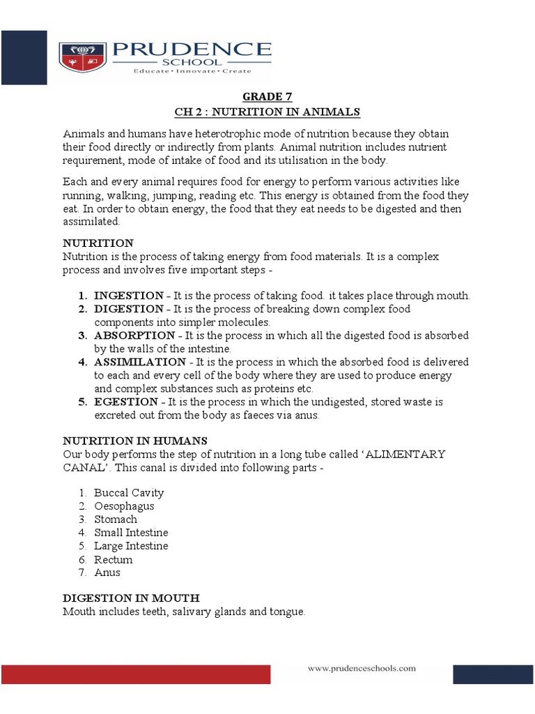Nutrition in Animals Notes PDF | PDF | Digestion | Tooth