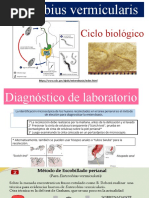 CDC - DPDX - Enterobiasis | PDF | Sistema digestivo | Parasitología