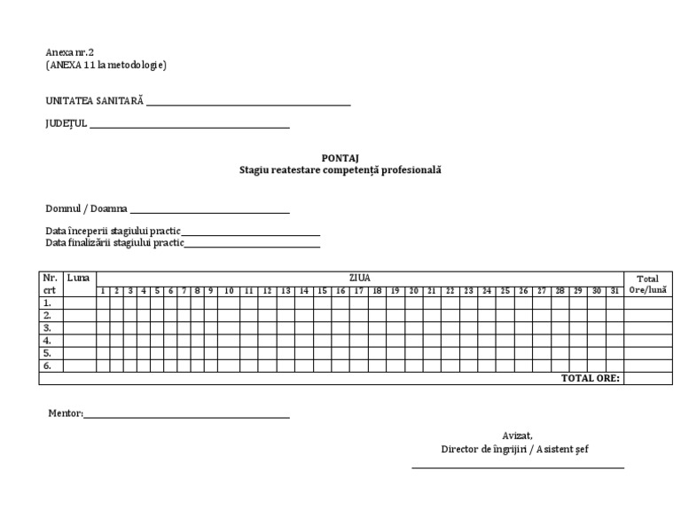 00 Model Pontaj Individual | PDF