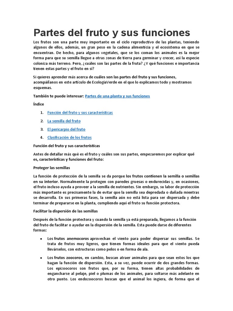 Partes Del Fruto y Sus Funciones | PDF | Fruta | Semilla