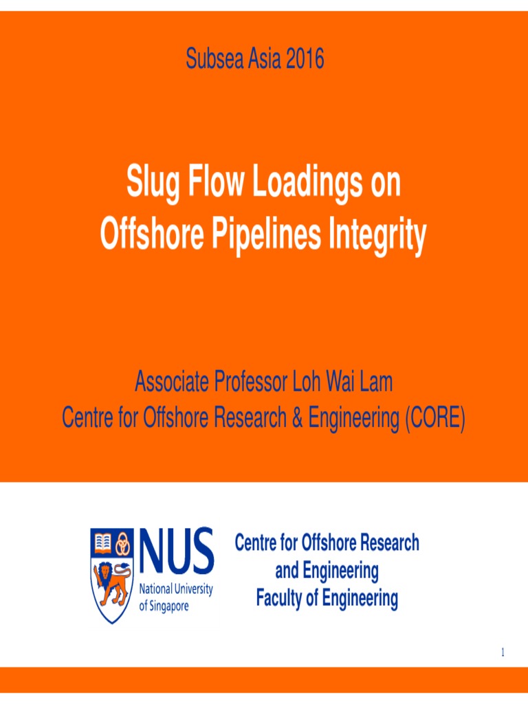 Slug Flow Loadings On Offshore Pipelines Integrity | PDF | Subsea ...