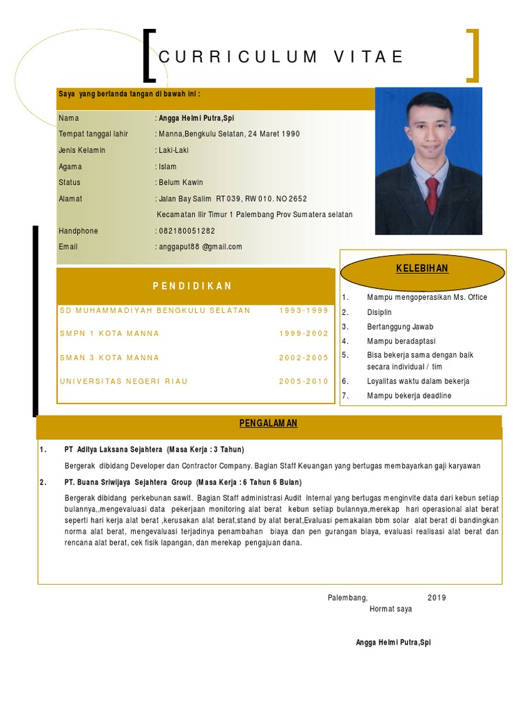 CURRICULUM VITAE | PDF