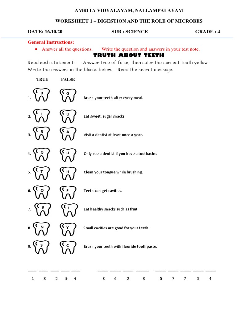 Truth About Teeth: Answer All The Questions. Write The Question and ...
